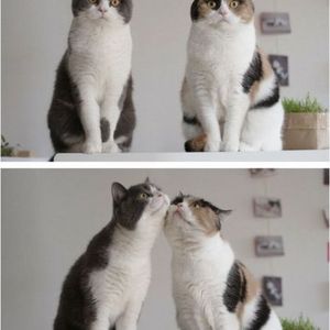 Withfriends Events - Anthony Sellitto-Budney