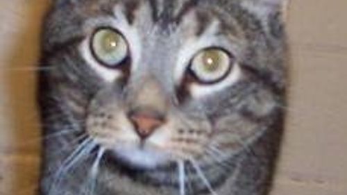 Withfriends Events - Sun, Jan 11 - Forrest Philpot Band | Ironbound ...